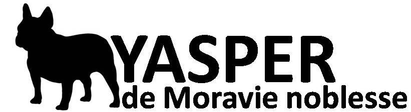 Francouzský buldoček YASPER se narodil 16. 6. 2014 v České republice v ...